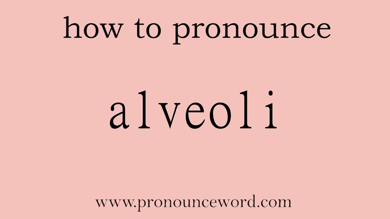 alveoli: How to pronounce alveoli in english (correct!).Start with A ...