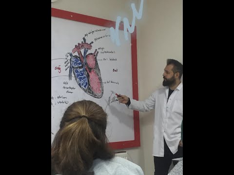 DOLAŞIM SİSTEMİ KONU ANLATIMI - BİYOLOJİ SİSTEMLER 11. SINIF AYT
