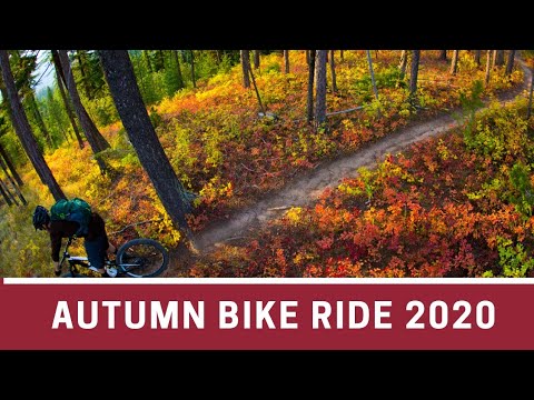 Autumn Bike Ride in Canada|Gatineau Bike Trail| Leamy Lake Park ...