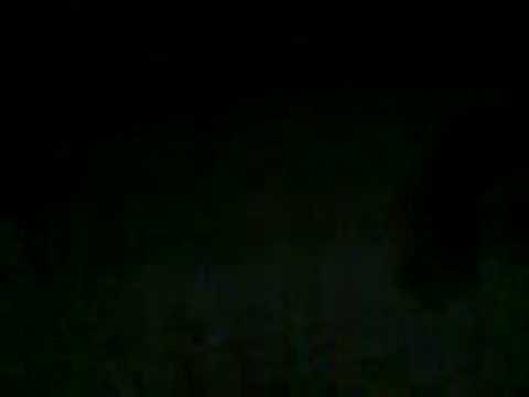 inimigos do figado - graciosa