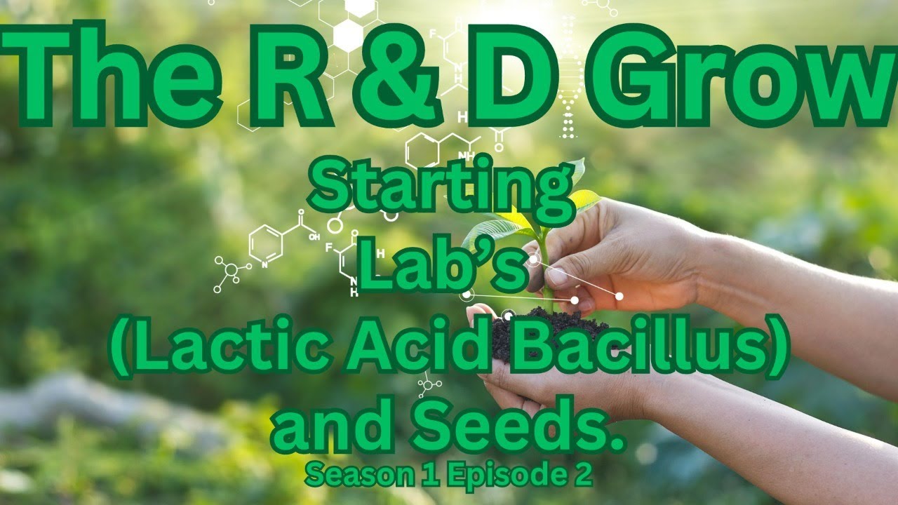 The R&D Grow S1 EP 2 Starting Lab’s And Seeds - YouTube
