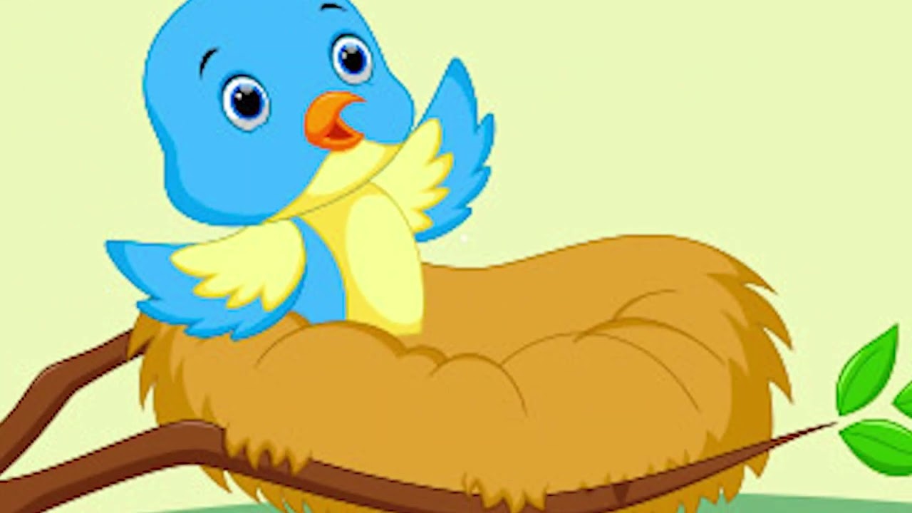 CUENTO EL PAJARITO QUE NO PODIA VOLAR - YouTube