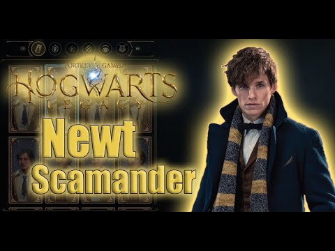 NEWT SCAMANDER - Hogwarts Legacy (Character Creation) - YouTube