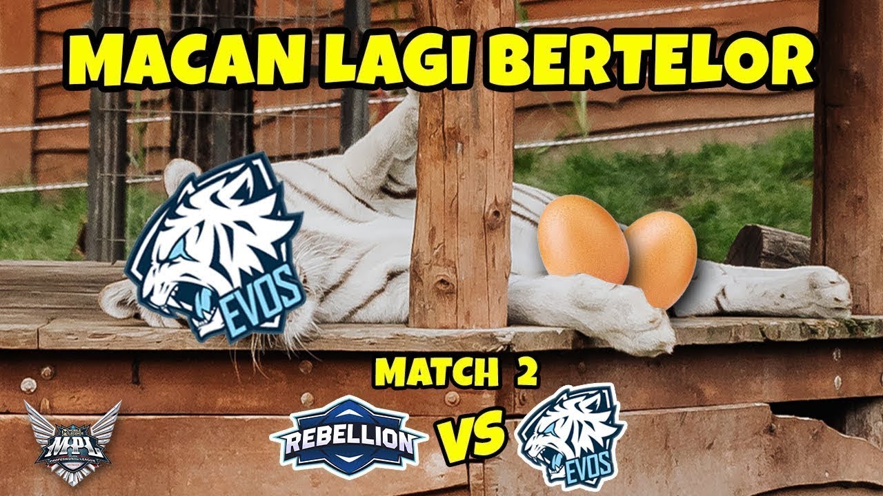 MACAN EVOS LAGI JADI KUCING BERTELUR !! | EVOS VS REBELLION | Week 6 ...