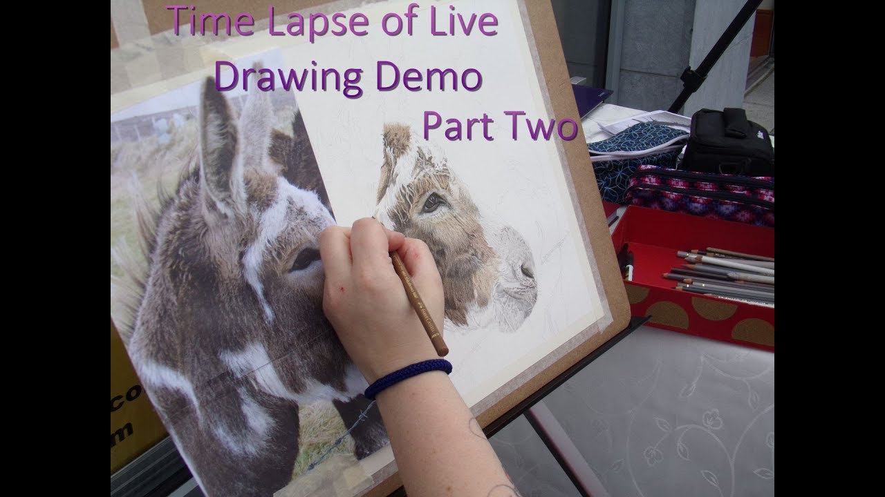 Time Lapse of Live Drawing Demo Part Two - YouTube