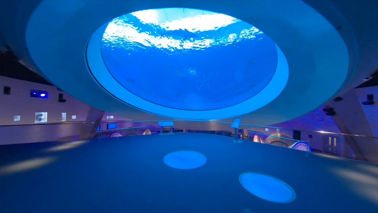 Frost Science Aquarium - The Deep - YouTube