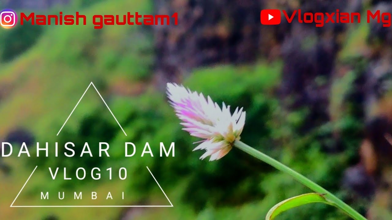 DAHISAR DAM (EAST) MUMBAI PLEASE SHARE & SUBSCRIBE - YouTube