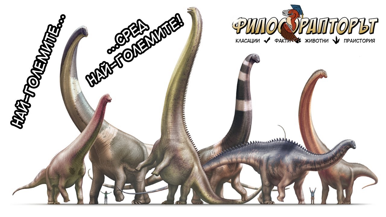 ЗАВРОПОДИТЕ - НАЙ-ГОЛЕМИТЕ динозаври изобщо: ТОП 10 - YouTube