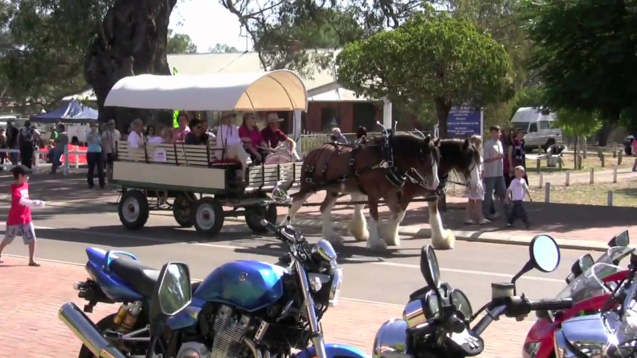 'Take 5 Tour' - Moondyne Festival Toodyay, Western Australia - YouTube