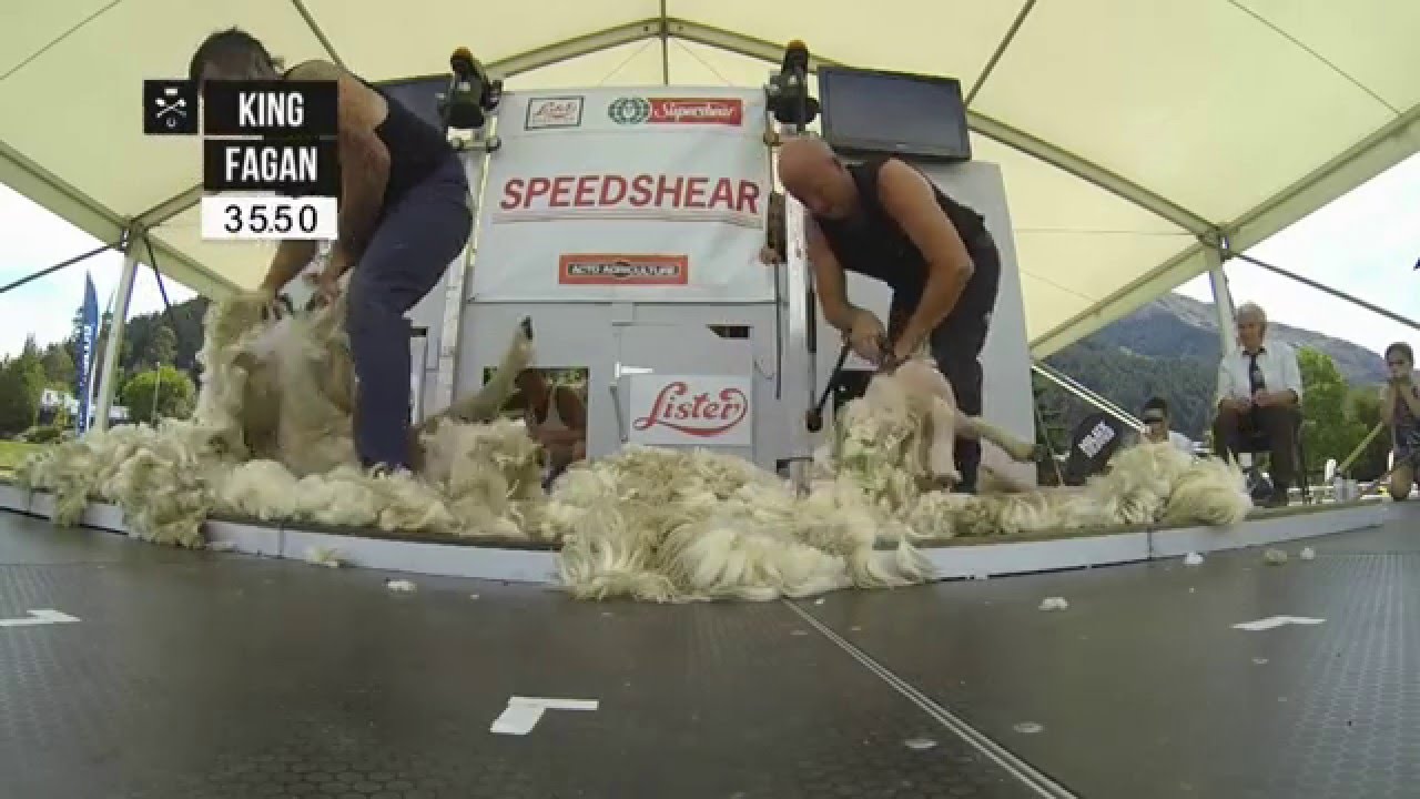 Speed Shearing action at Hilux New Zealand Rural Games 2015 - YouTube