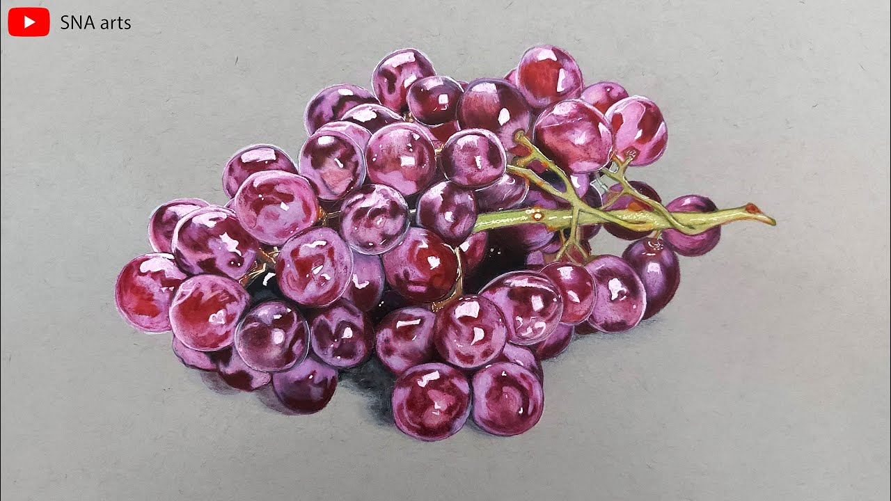 Drawing Realistic Grapes With Color Pencils || Prismacolor Premier ...