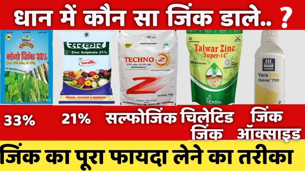 धान के लिए सबसे अच्छा जिंक।dhaan me kon sa zinc dale। dhan me zinc। धान ...