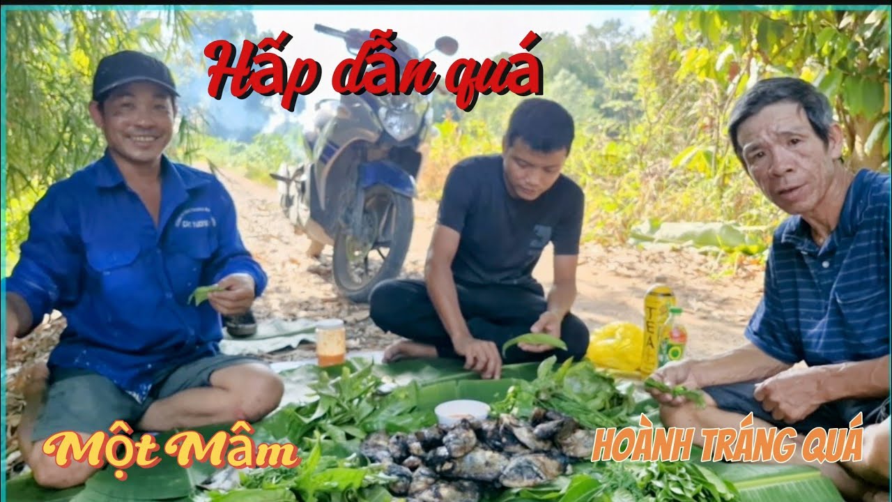 Săn Bắt Cá / Chài Cá ,Chài Tới Đâu Là Nướng Tới Đó, Hết Nói Nổi Team Ba Lúa. - YouTube