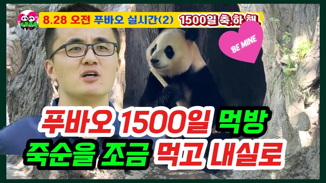 ๐828 ์ค์ 2 ํธ๋ฐ์ค์ค์๊ฐ ์์๐ฅํธ๋ฐ์ค1500์ผ๋จน๋ฐฉ ๋ชธ์ ์ด์ด์๋๊ฒ ๊ฐ์์ ํธ๋ฐ์ค๊ทผํฉ ํธ๋ฐ์ค์ค์๊ฐ Fubao ํธ๋ฐ์ค ํธ๋ฐ์ค๊ณ ํ์ง Panda ็ฆๅฎ