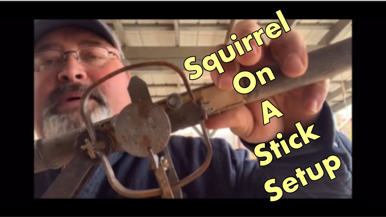 Here is how I set up my squirrel on a stick trap. - YouTube