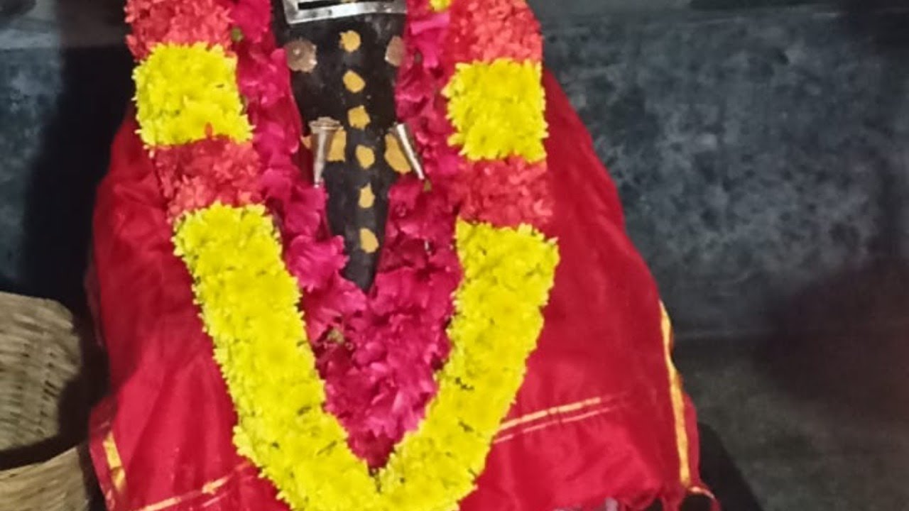 sri ananda mahaganapathi pooja on21\01\25 - YouTube