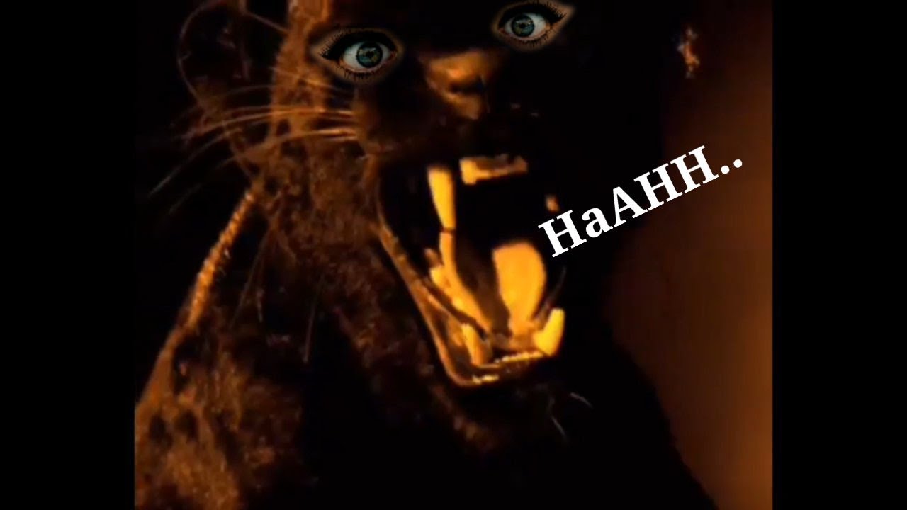 meme iklan ISUZU PANTHER - YouTube