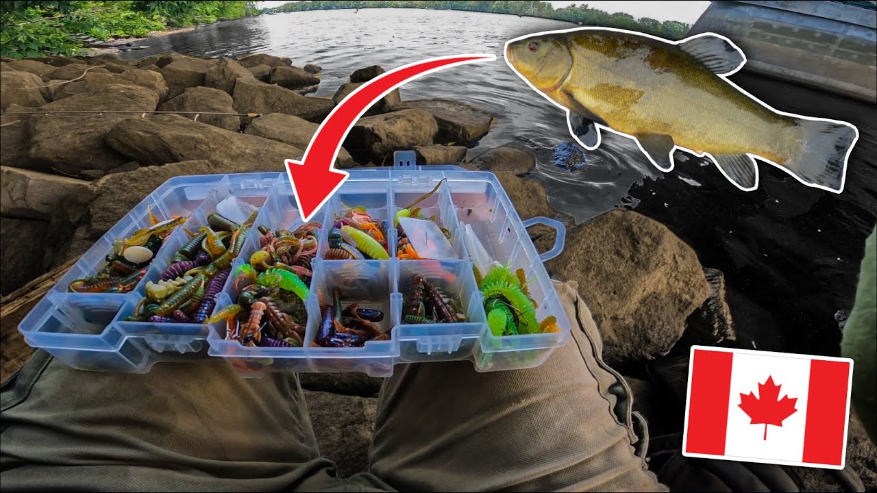 Je PÊCHE un POISSON IMPROBABLE au LEURRE au QUÉBEC ! Street-Fishing au ...