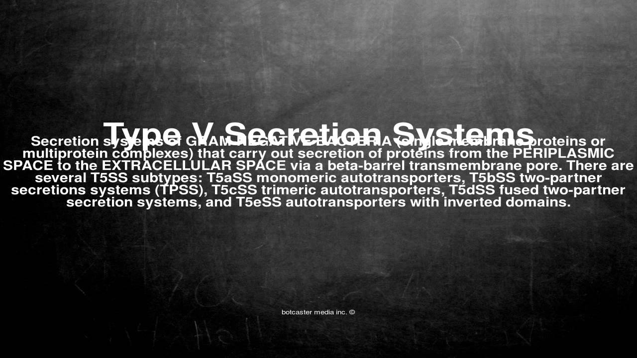 Medical vocabulary: What does Type V Secretion Systems mean - YouTube