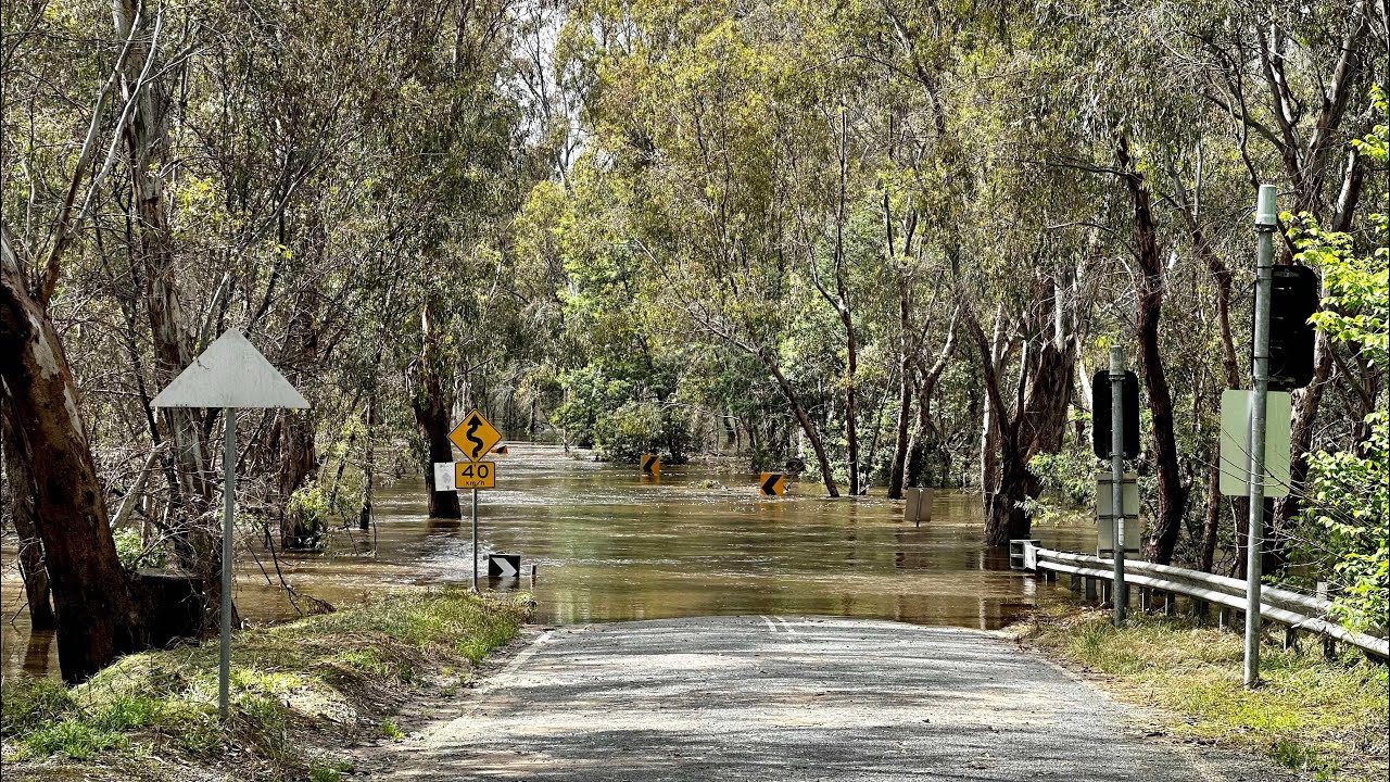 Watt Rd Bridge water level #mooroopna - YouTube