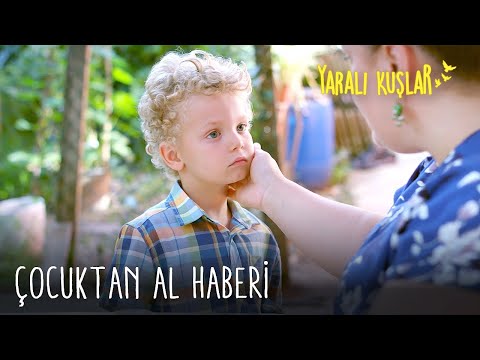 Ömer planı ağzından kaçırıyor😱 | Yaralı Kuşlar 87. Bölüm