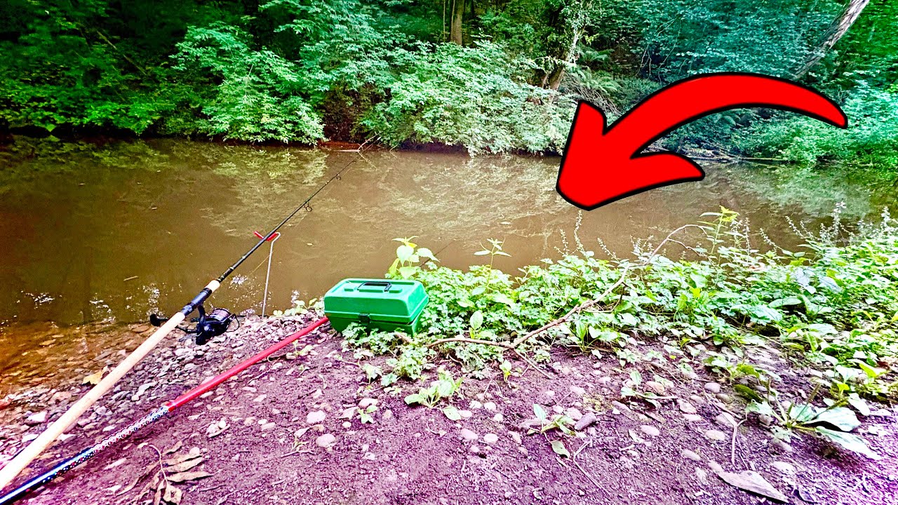 Pole Fishing And Method Feeder On Canal! - YouTube