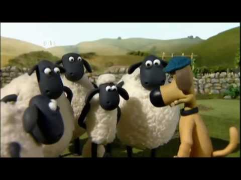 Çılgın Kuzular HD İzle [Çizgi Filmler]