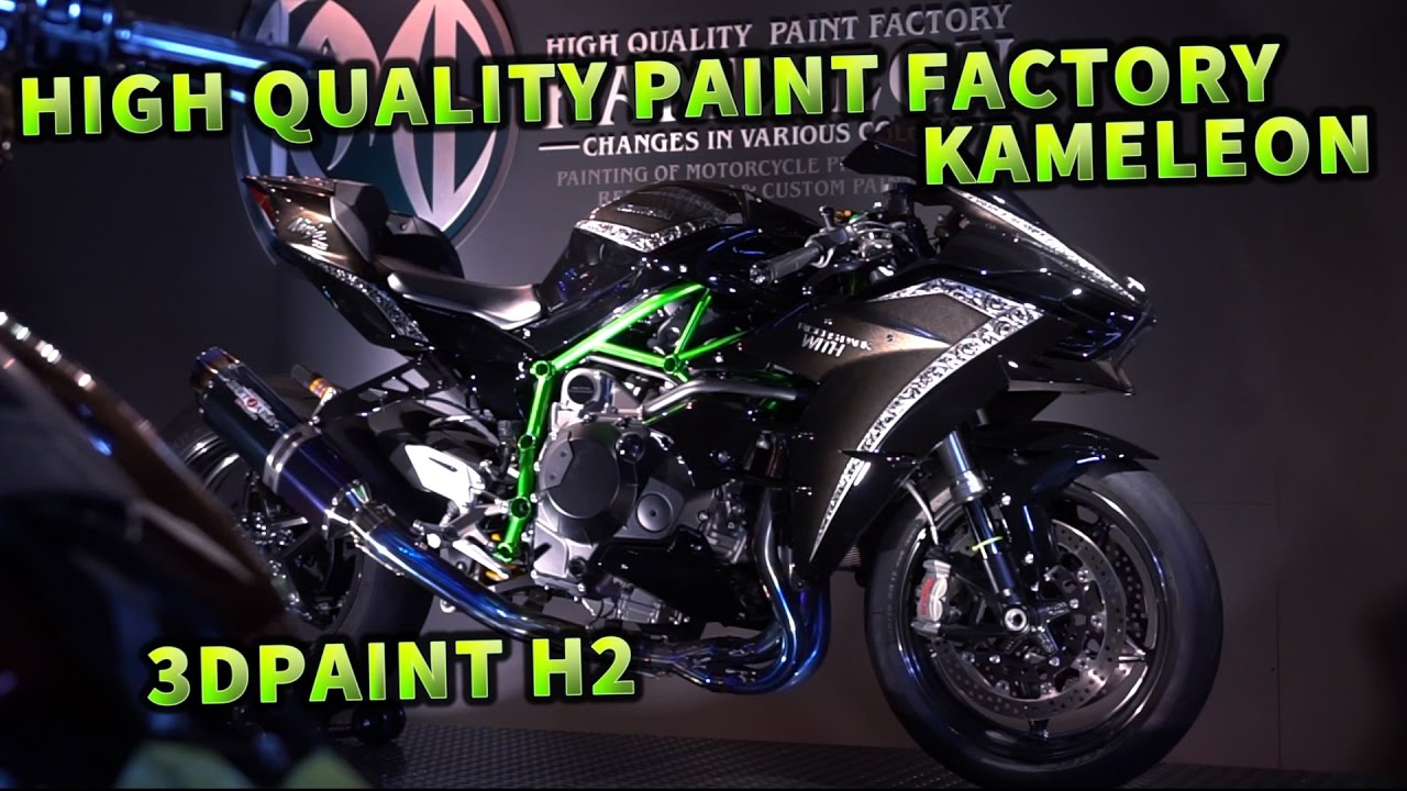 【Kameleon】 3DPaint Kawasaki Ninja H2 【High Quality Paint Factory】Shoot ...