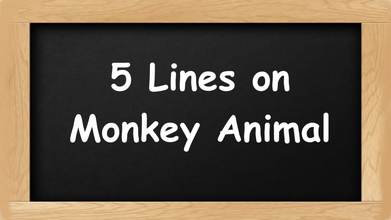 Monkey Animal Short 5 Lines in English || 5 Lines Essay on Monkey ...