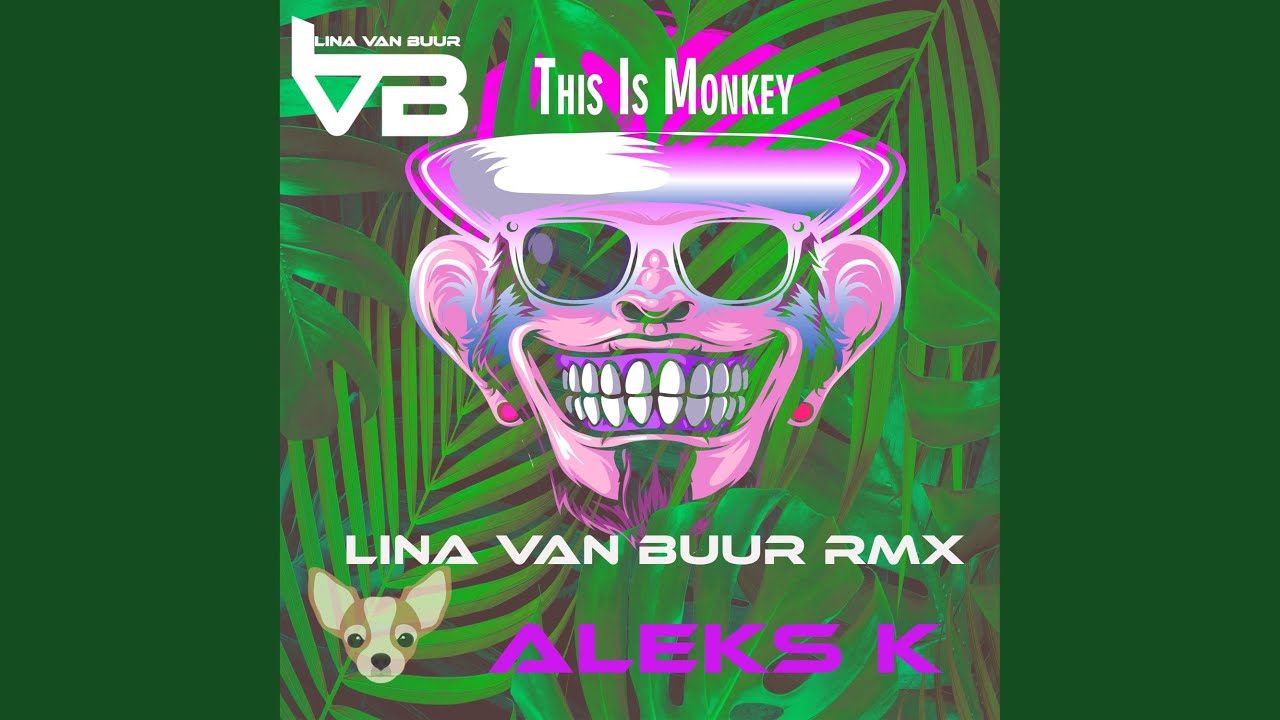 This is Monkey Lina van Buur Rmx - YouTube