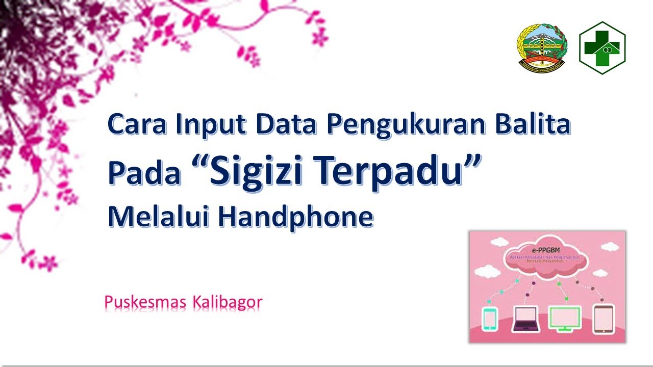 CARA ENTRI HASIL PENGUKURAN BALITA PADA SIGIZI TERPADU - YouTube