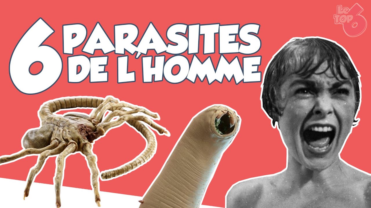 TOP 6 des PARASITES de l'HOMME - YouTube