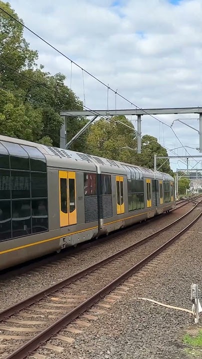 Tangara T Set Passing Banksia #shorts - YouTube