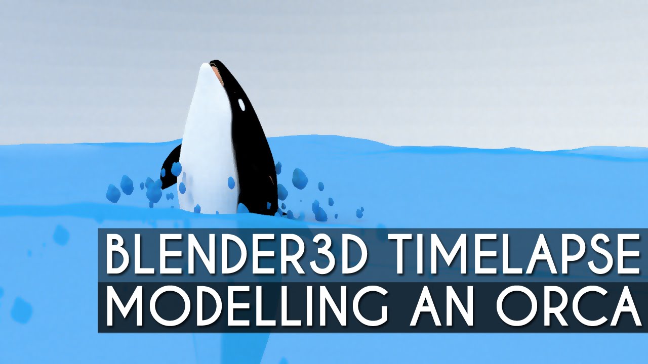 Blender 3D TimeLapse: Modelling an Orca/Killer Whale - YouTube