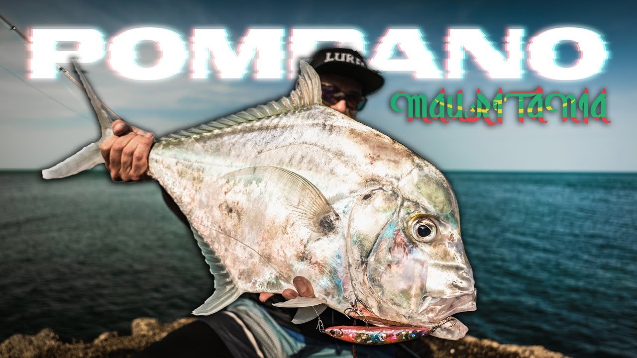 Mi PEZ SOÑADO con EQUIPO LIGERO + NUEVAS Especies [Mauritanian Series 1 ...