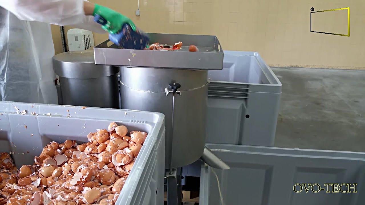 Egg Centrifuge SHELL DRYER Automatic - YouTube