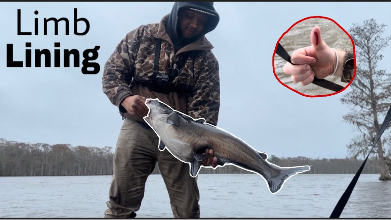 Limb Lining for Catfish on the Neuse River! ( Gone Wrong!!) - YouTube