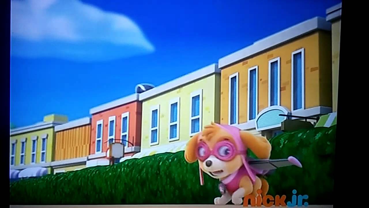 Paw patrol skye saves alex - YouTube