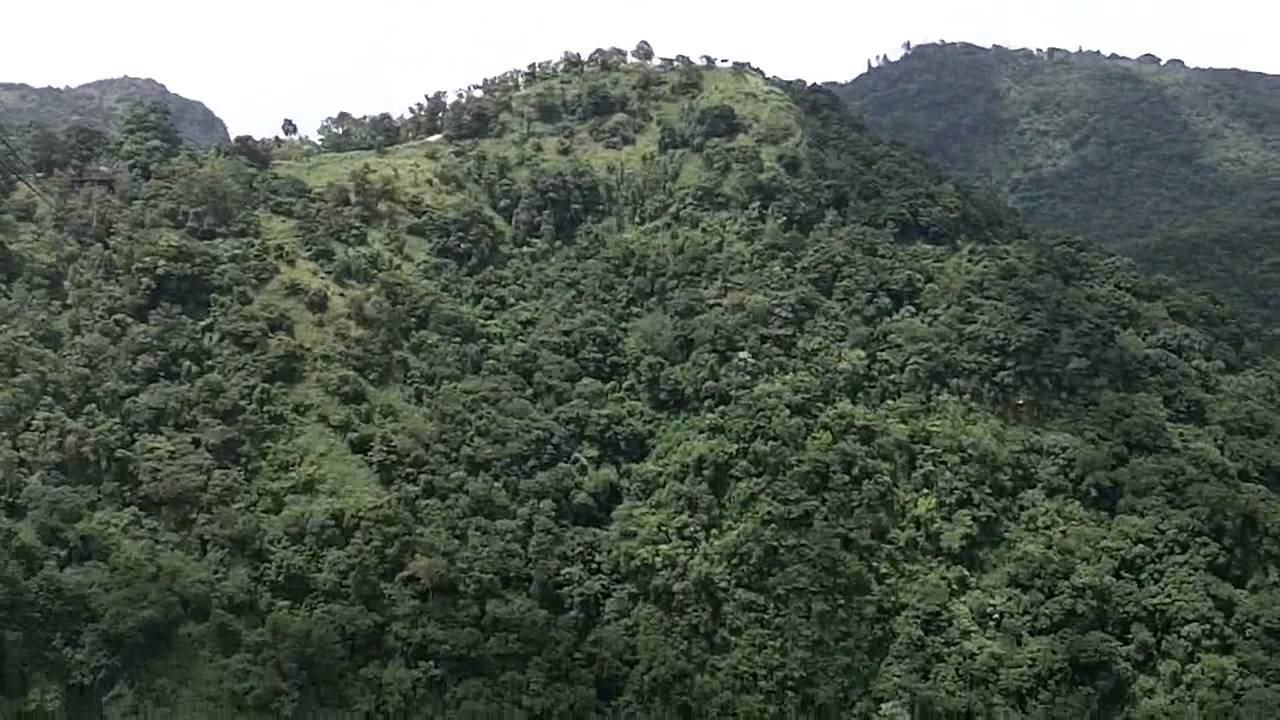 AVENTURA EN EL TORO VERDE ADVENTURE PARK - YouTube