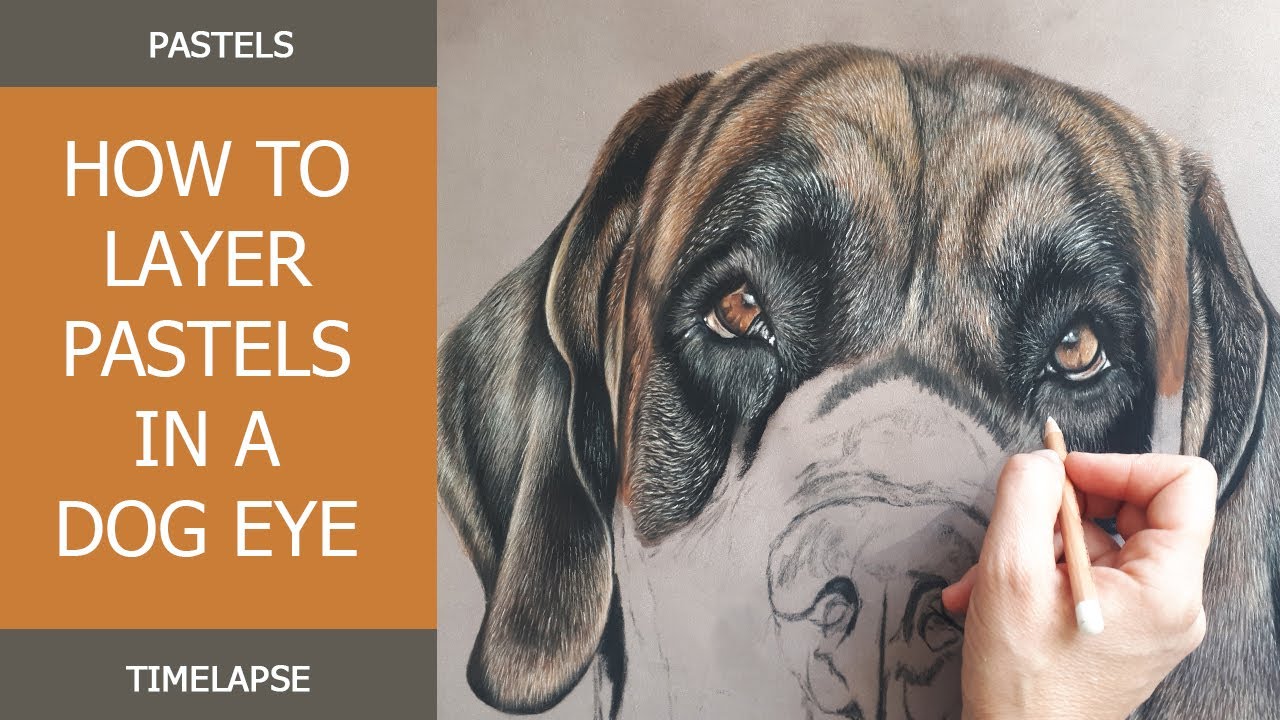 How to layer pastels in a dog eye - Sabine Lackner Fine Art - YouTube