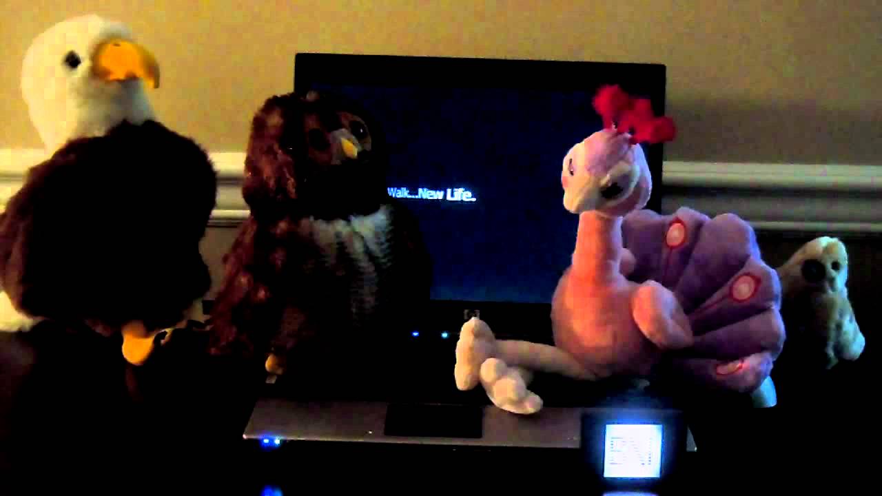 Management Team Evaluation of Human Resource Profitability Assessment ...