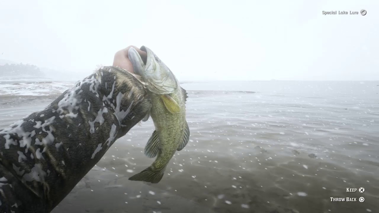 Red Dead Redemption 2 Daily - Catch 3 Largemouth Bass - YouTube