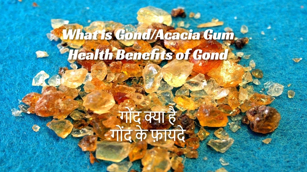 गोंद क्या है | गोंद के फ़ायदे | What Is Gond | Health Benefits Of Gond ...