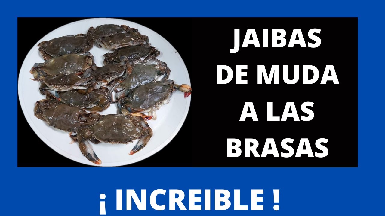 JAIBA SUAVE de MUDA y PULPO BABY a la PARRILLA - YouTube
