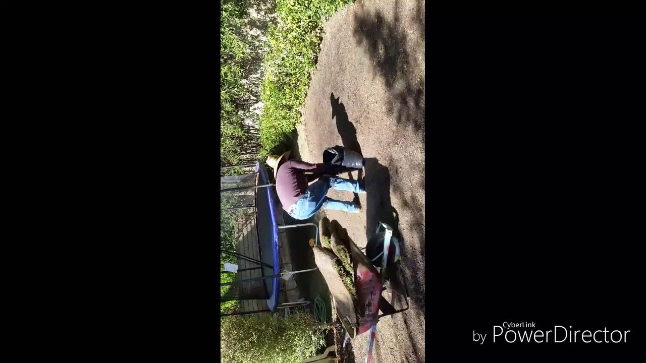 How to install real grass. Marathon II.. tall fescue .. biochar - YouTube