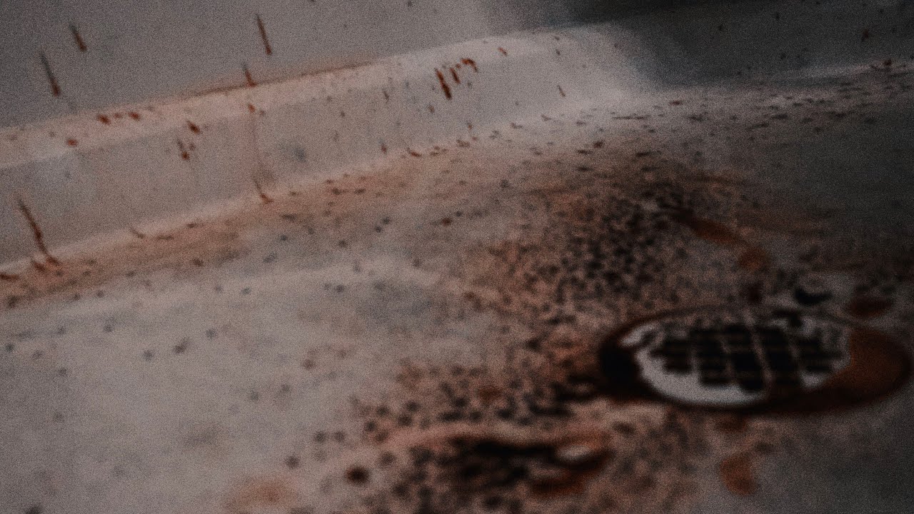 FACES OF THE MASSACRED “PUTRID DECAY” Official Lyric Video - YouTube Music