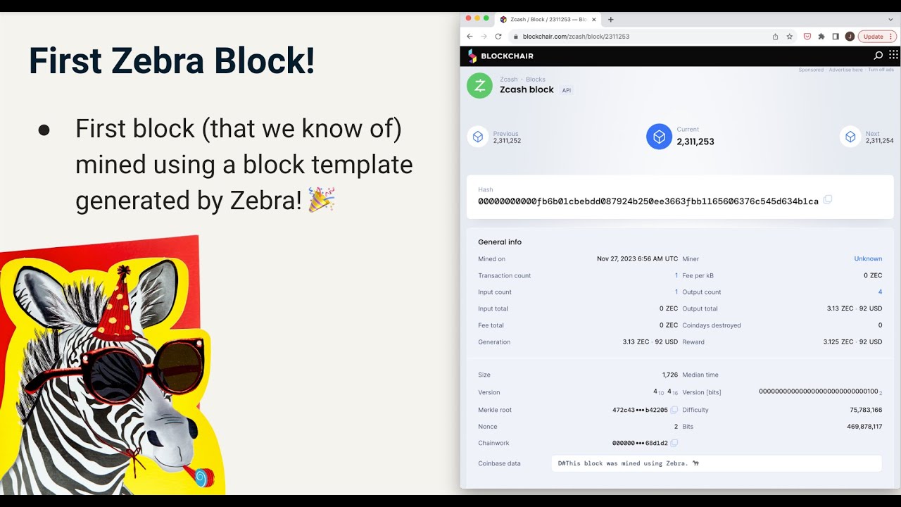 First Zebra Block! - YouTube