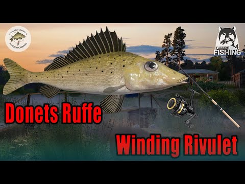 📌 Russian Fishing 4 | Donets Ruffe Guide – Best Spot, Setup & Bait on Winding Rivulet! Full Tutorial