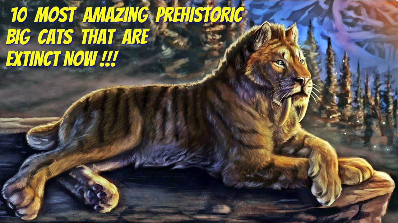 10 Most Amazing Prehistoric Big Cats - YouTube