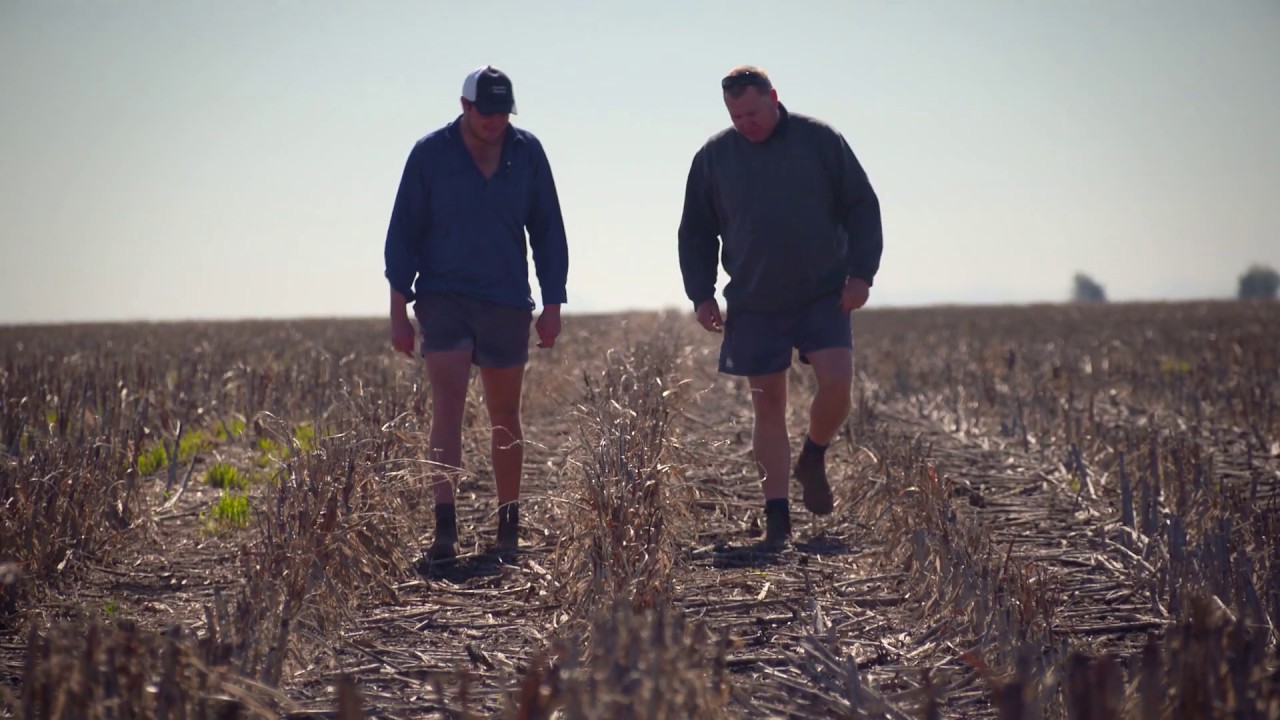 Brookstead Farming, Darling Downs talks Precision Planting - YouTube